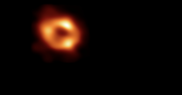 13th Annual R. Jack and Forest Lynn Biard Lecture - Sera Markoff ...